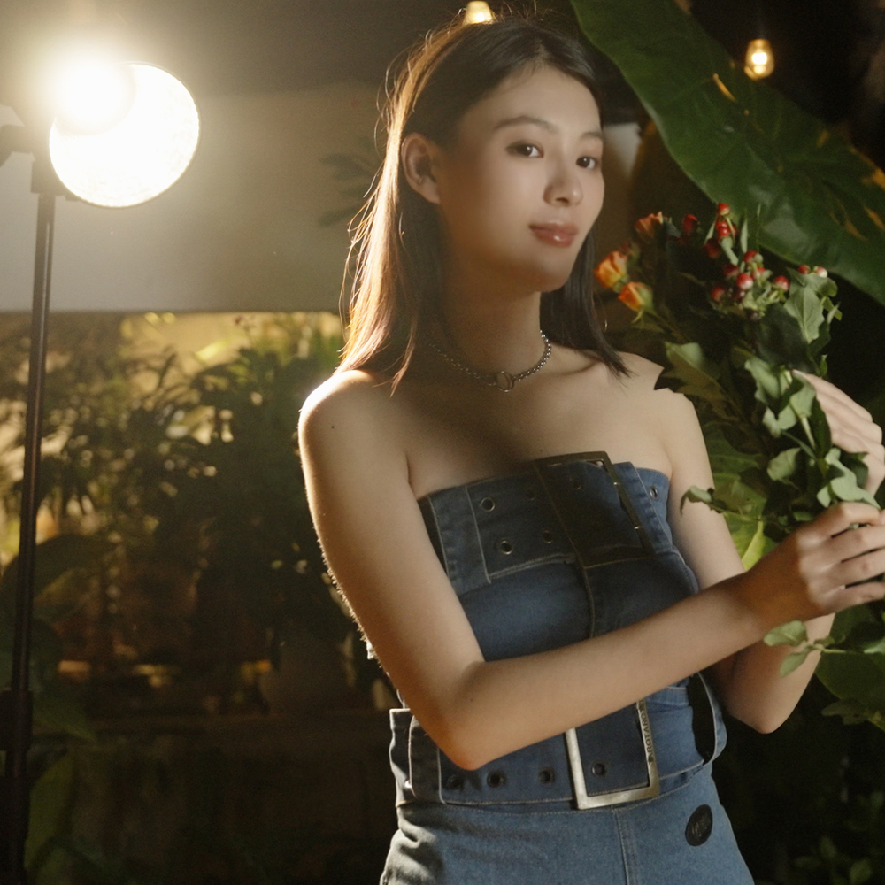 RC 220B/220D Pro COB LED Video Light - Quick-Mount Portable